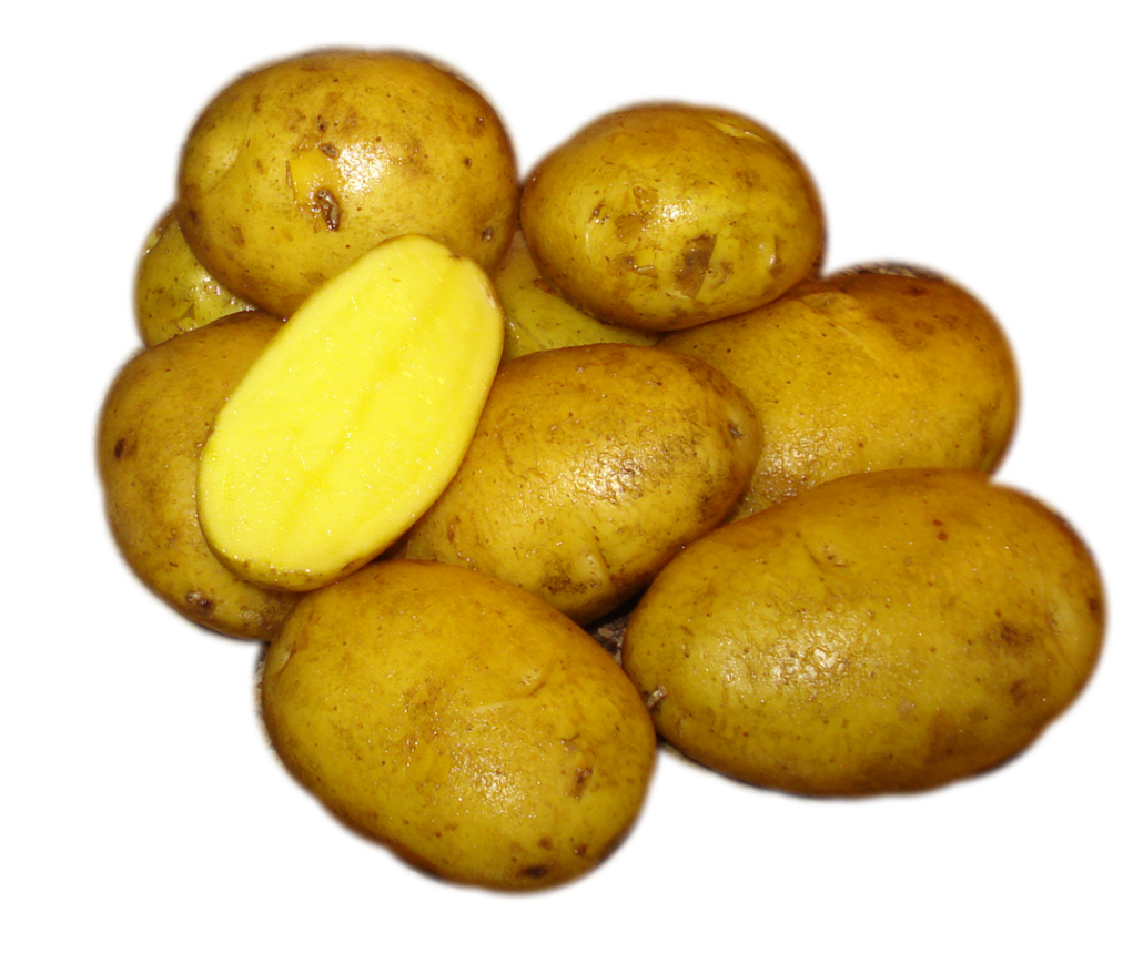 Bintje – Eagle Creek Seed Potatoes