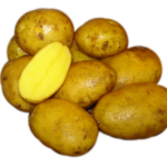 Scab Resistant Varieties – Eagle Creek Seed Potatoes