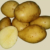 Yukon Gold – Eagle Creek Seed Potatoes