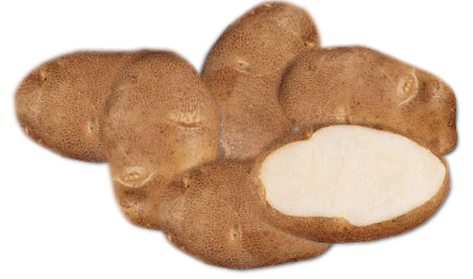 Irish Cobbler – Eagle Creek Seed Potatoes