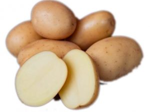 Shepody – Eagle Creek Seed Potatoes