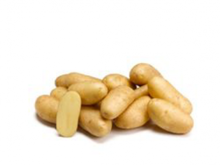 French Fingerling – Eagle Creek Seed Potatoes